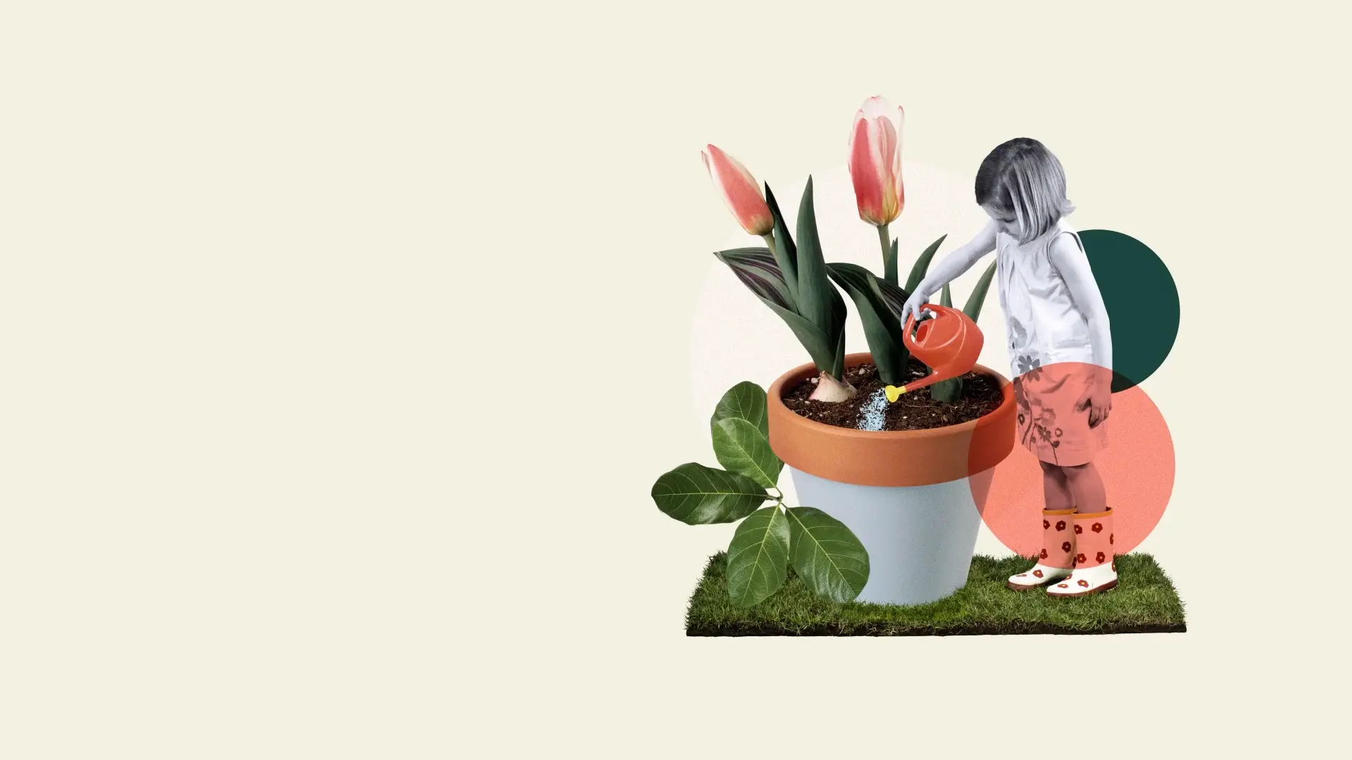 Botanica — Growing soon in Coquitlam.